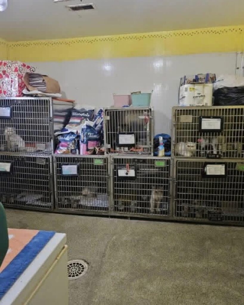 Building Campaign – Humane Society of McDonough County